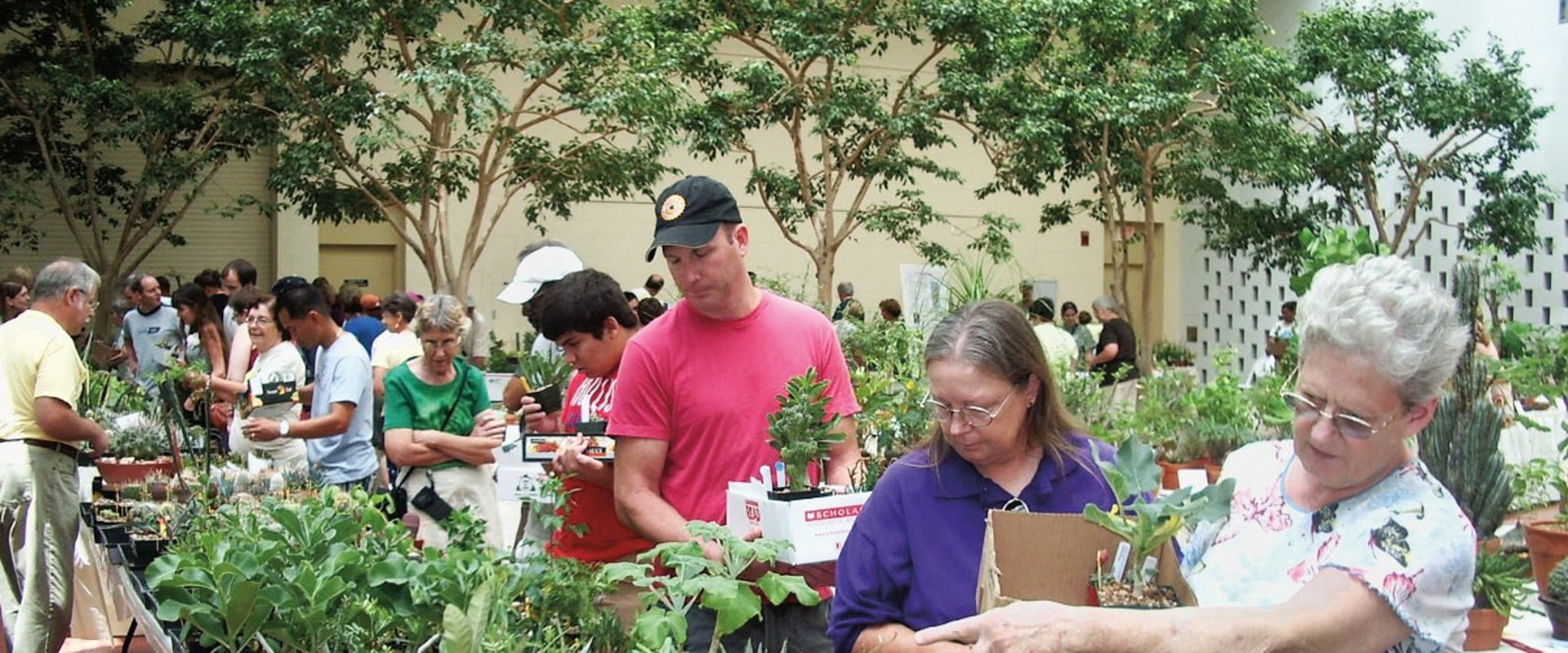 Explore Fun Community Events in St. Louis, Missouri